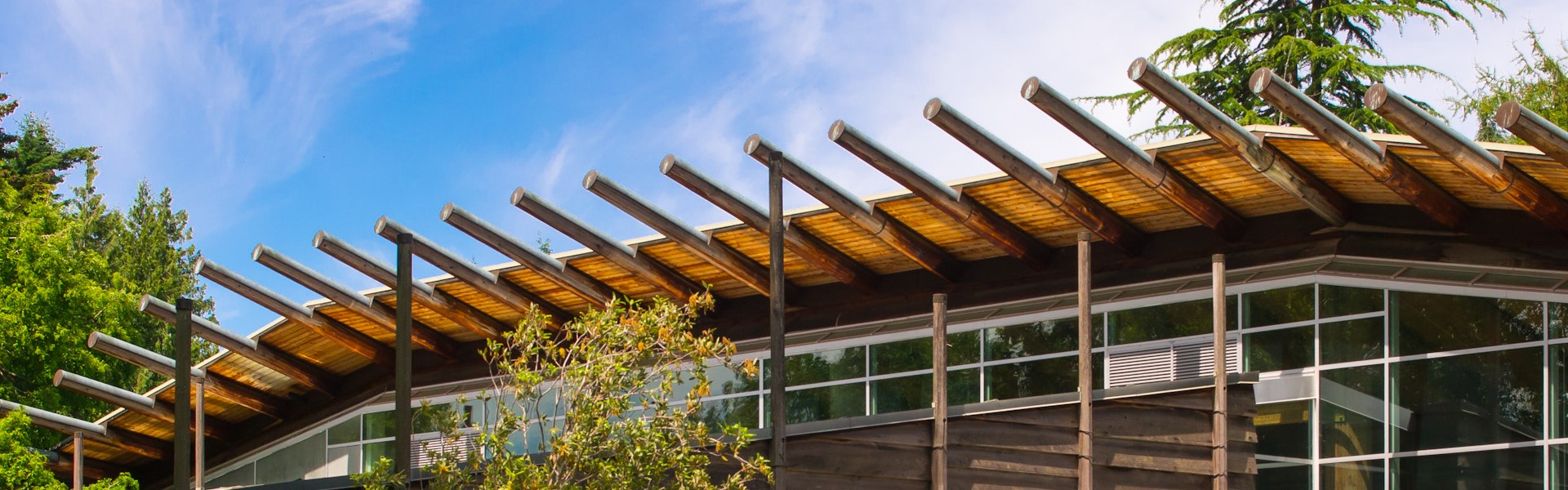 Guiding Network - UBC Indigenous Strategic Plan